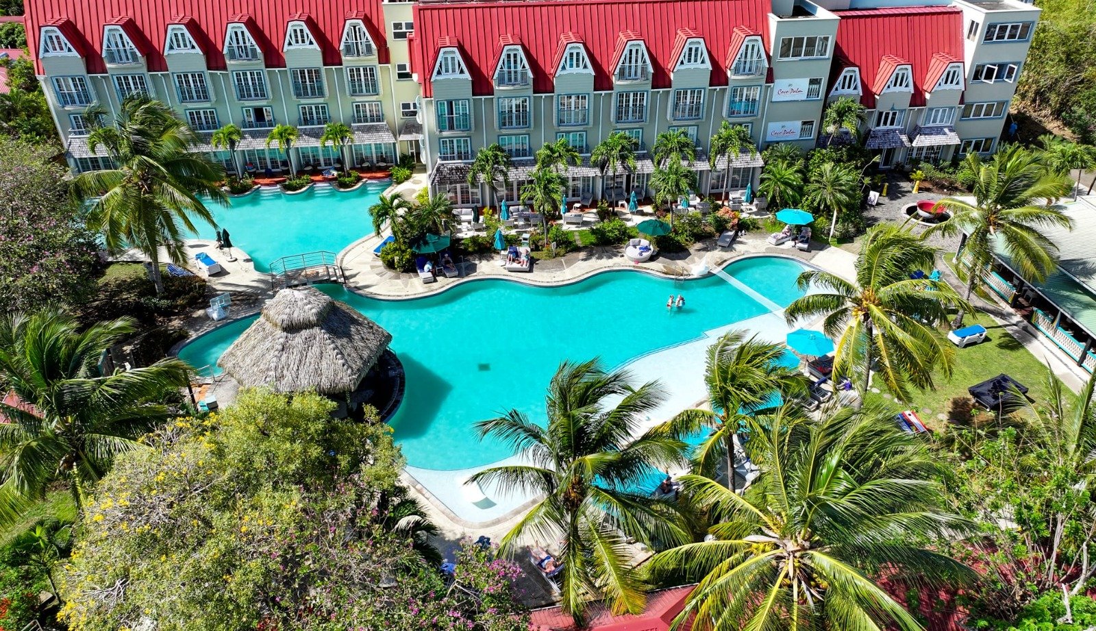 Leadership Evolution at Coco Palm: Welcoming Our New Managing Director ...